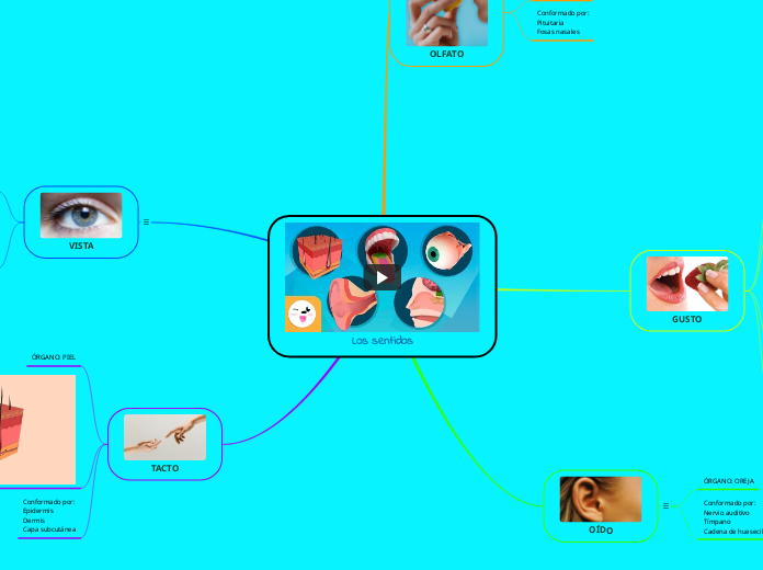 Los sentidos - Mind Map